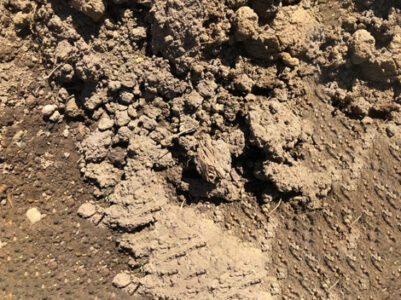 Fill Material – Dakota Hardscape Supply